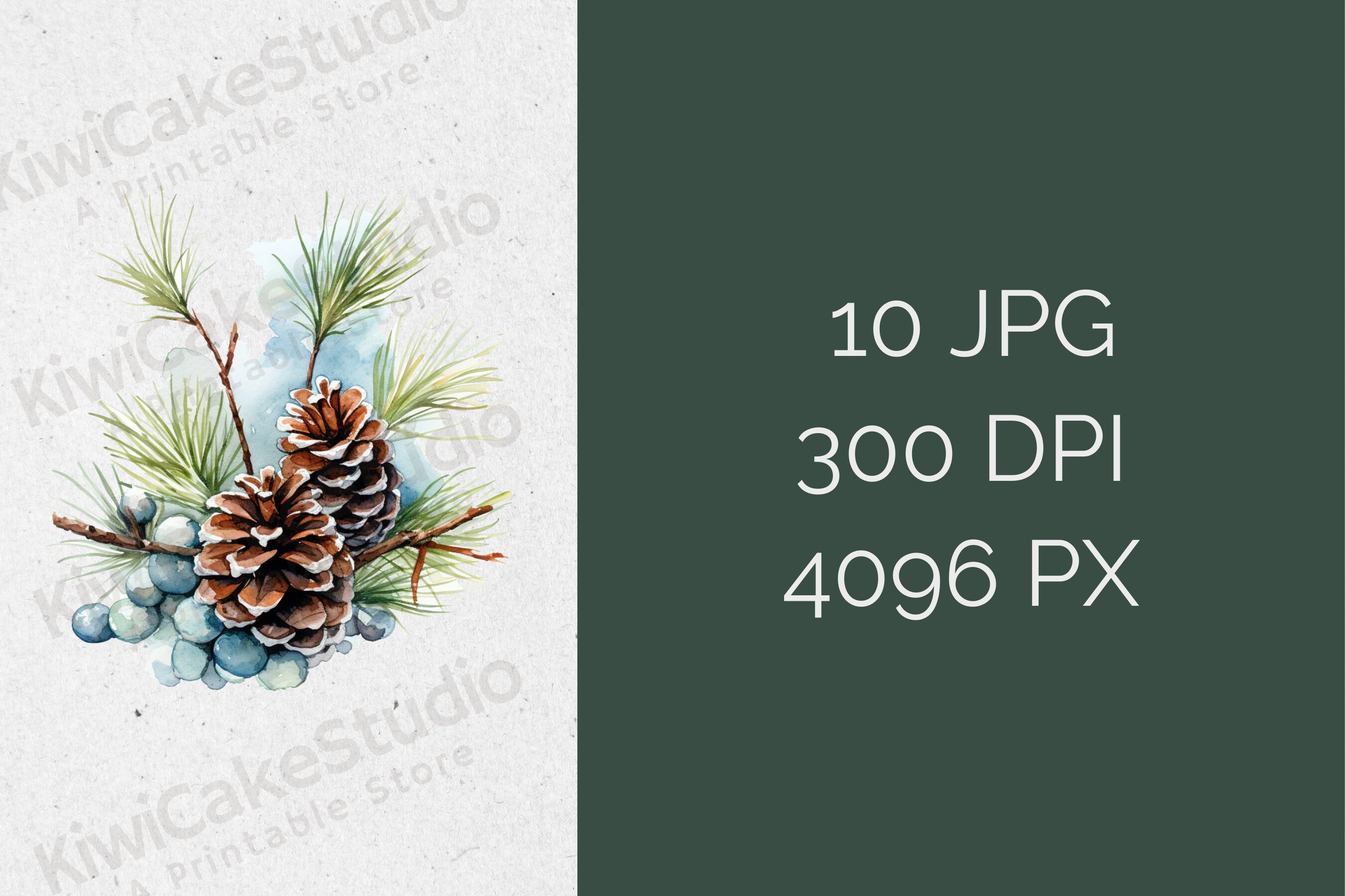 Watercolor Pine Cones Clipart, 10 High Quality Jpgs, Christmas Clip Art ...