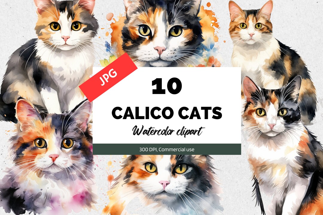 Watercolor Calico Cat Clipart, Jpgs, Cute Floral Cats and Kittens ...