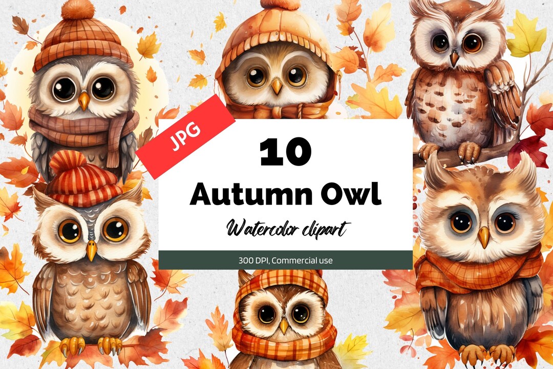 Watercolor Autumn Owl Clipart, 10 High Quality Jpgs, Commercial Use ...
