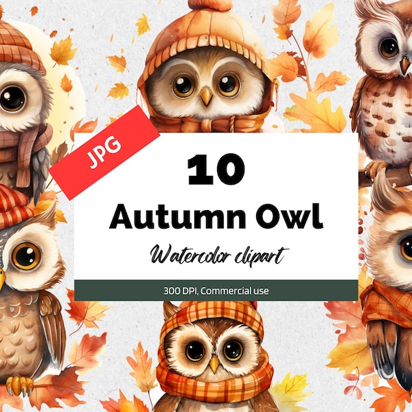 Fall Owl Clipart - Etsy