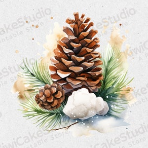 Watercolor Pine Cones Clipart, 10 High Quality Jpgs, Christmas Clip Art ...