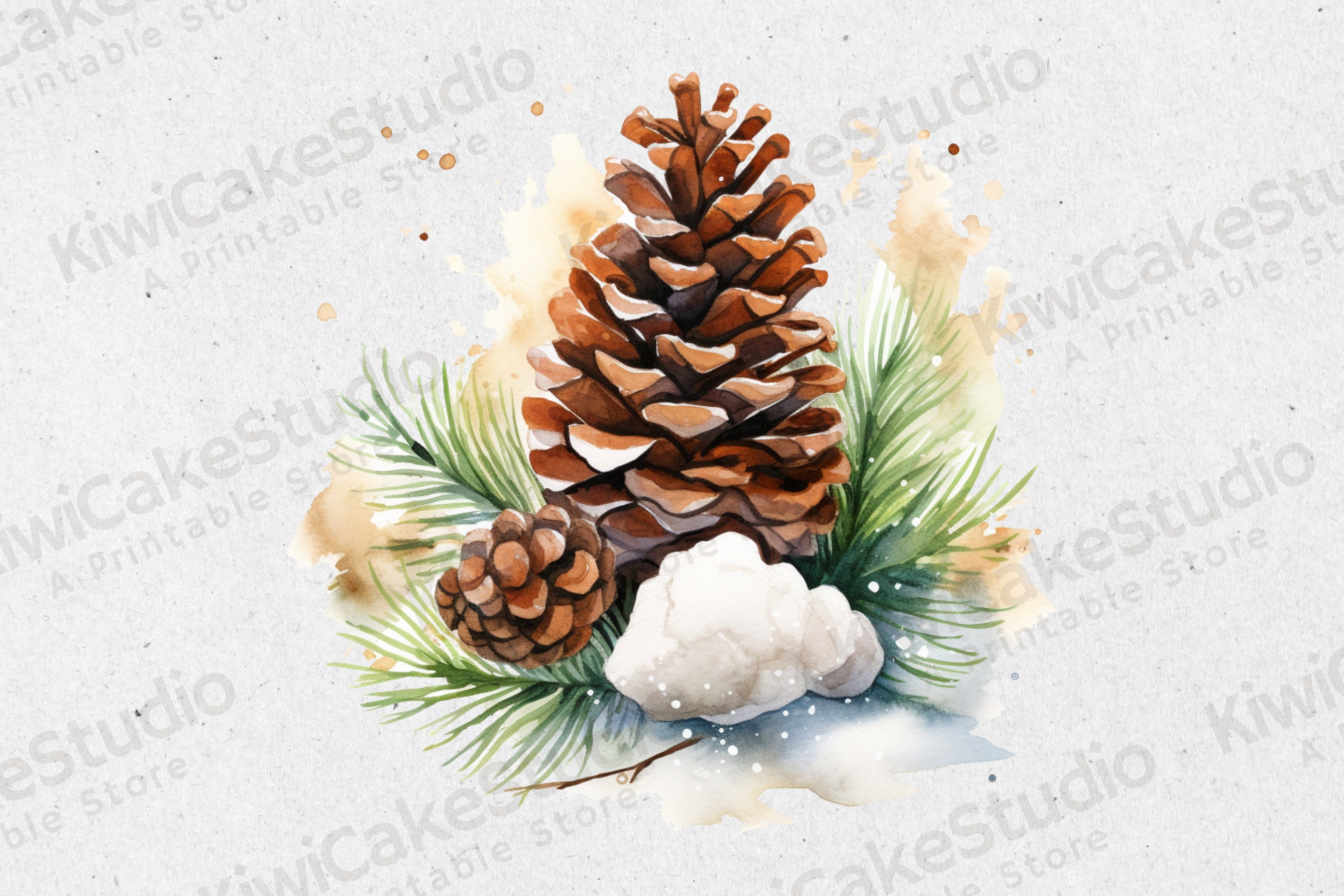 Watercolor Pine Cones Clipart, 10 High Quality Jpgs, Christmas Clip Art ...