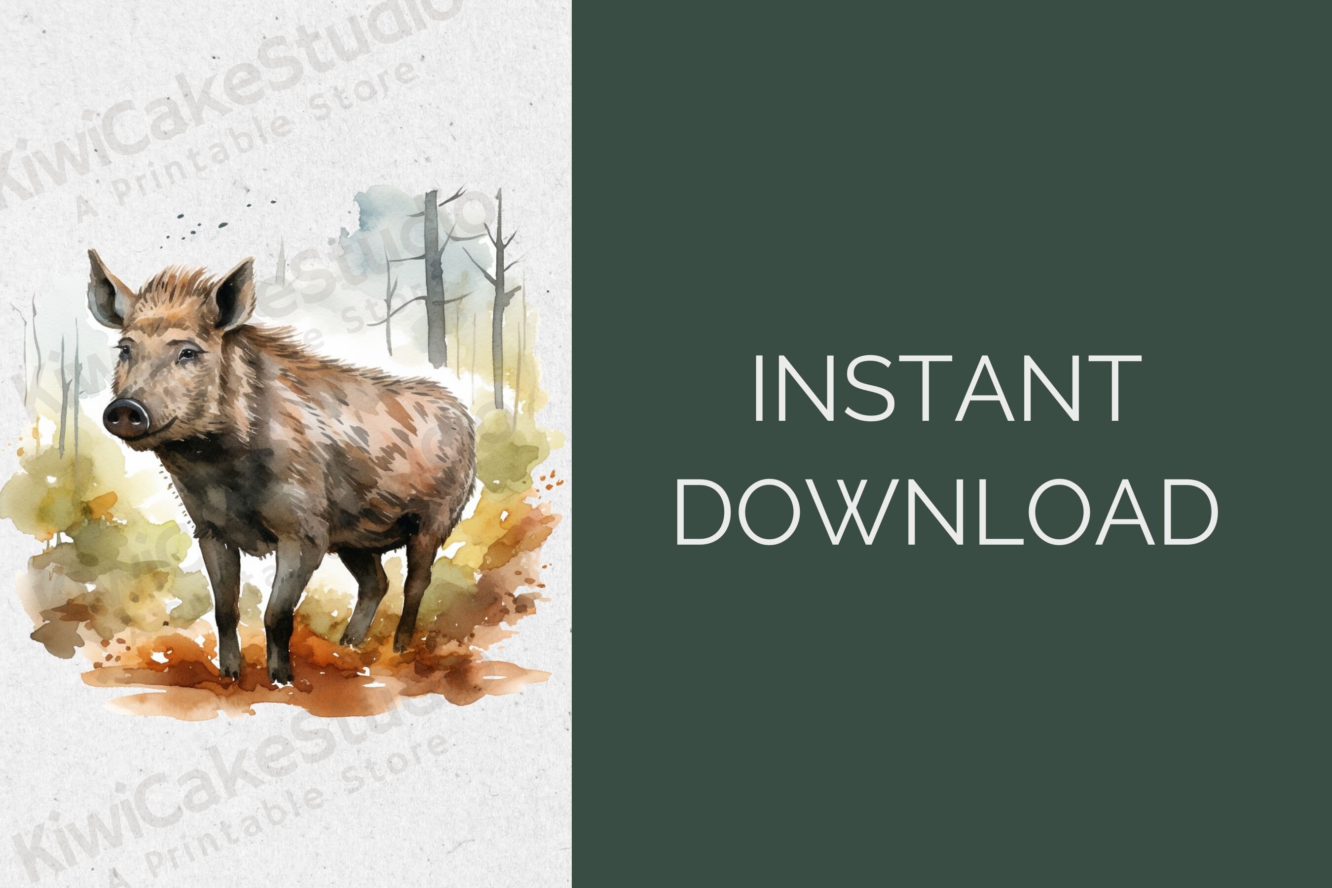 Watercolor Wild Boar Clipart, 10 High Quality Jpgs, Commercial Use ...