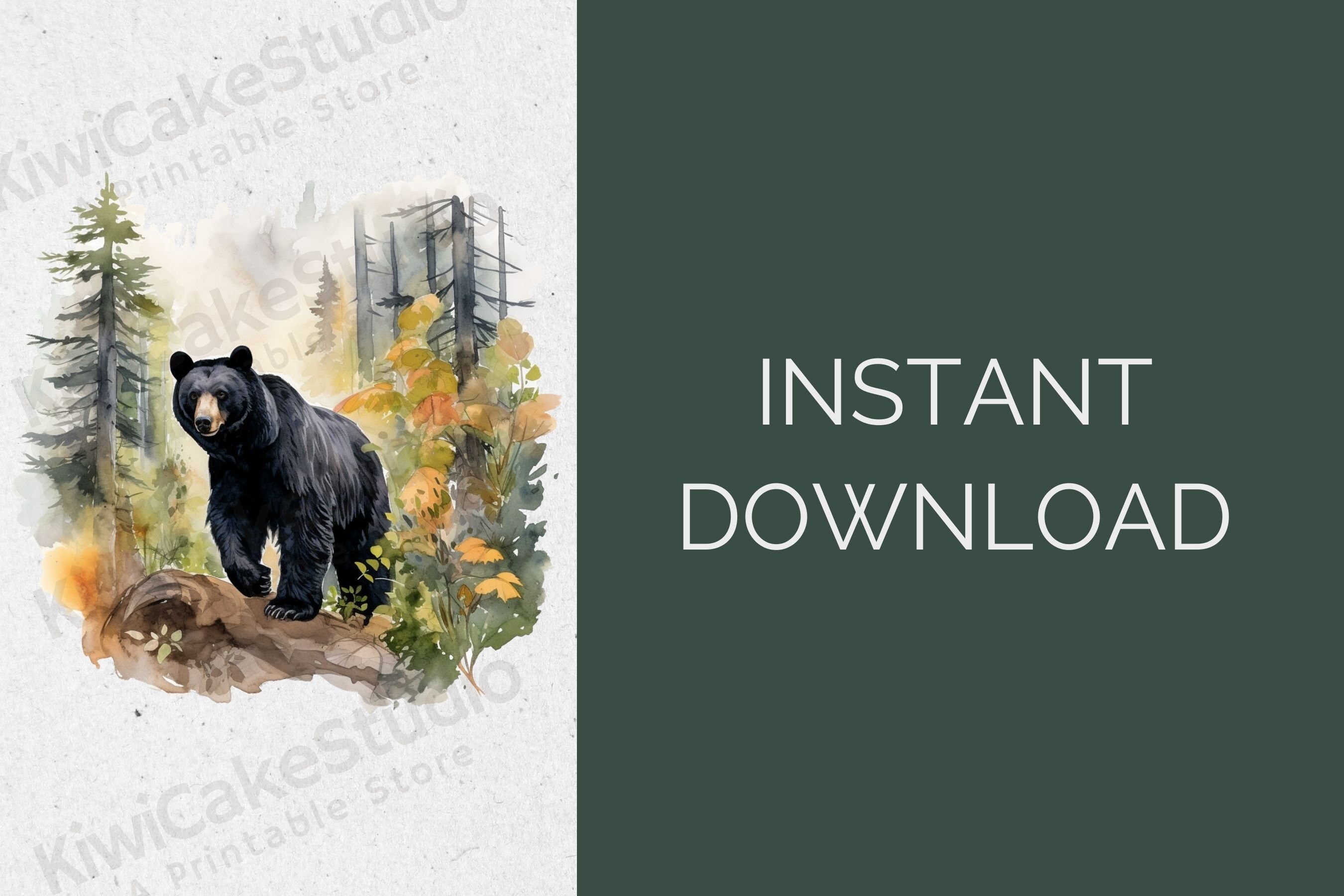 Watercolor Black Bear Clipart, 10 High Quality Jpgs, Commercial Use ...
