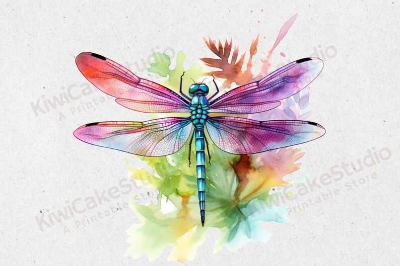 Watercolor Dragonfly Clipart, 10 High Quality Jpgs, Insect Illustration ...