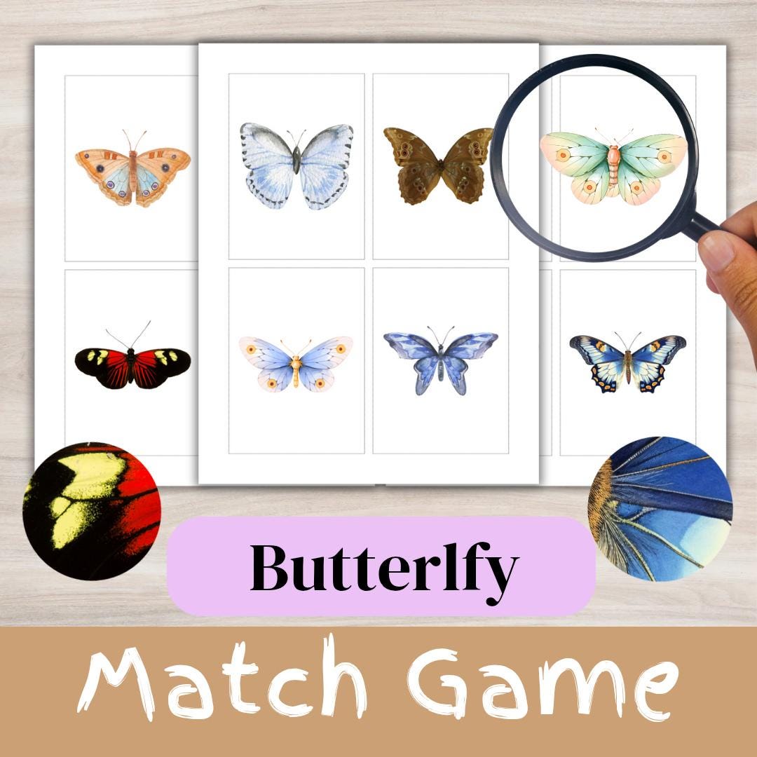 Butterfly Matching Game 28 Butterflies & Wing Close-ups Instant ...