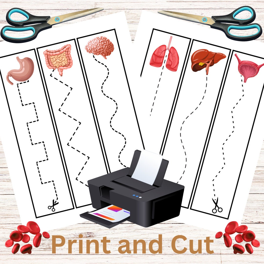 Anatomy Themed Cutting Activity for Kids - Instant Download PDF - Etsy