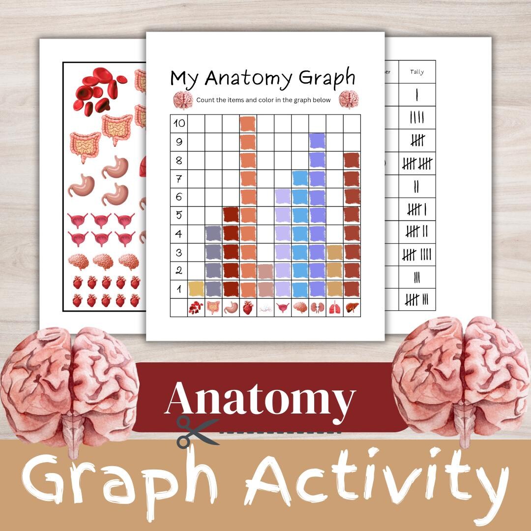 Anatomy Counting Tally Sheets – Kindergarten Math Activity, Preschool ...