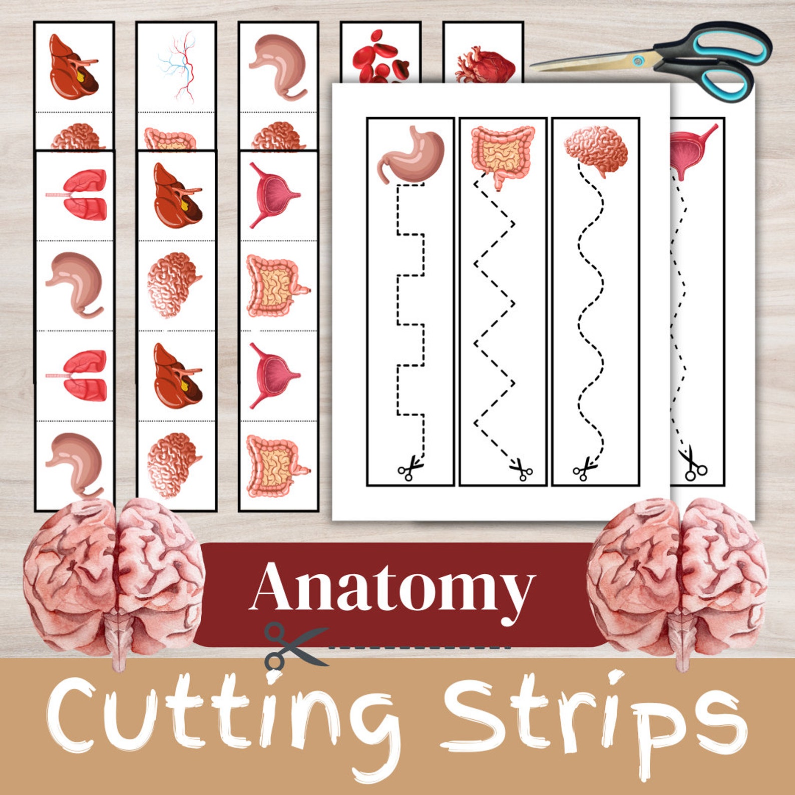 Anatomy Themed Cutting Activity for Kids - Instant Download PDF - Etsy