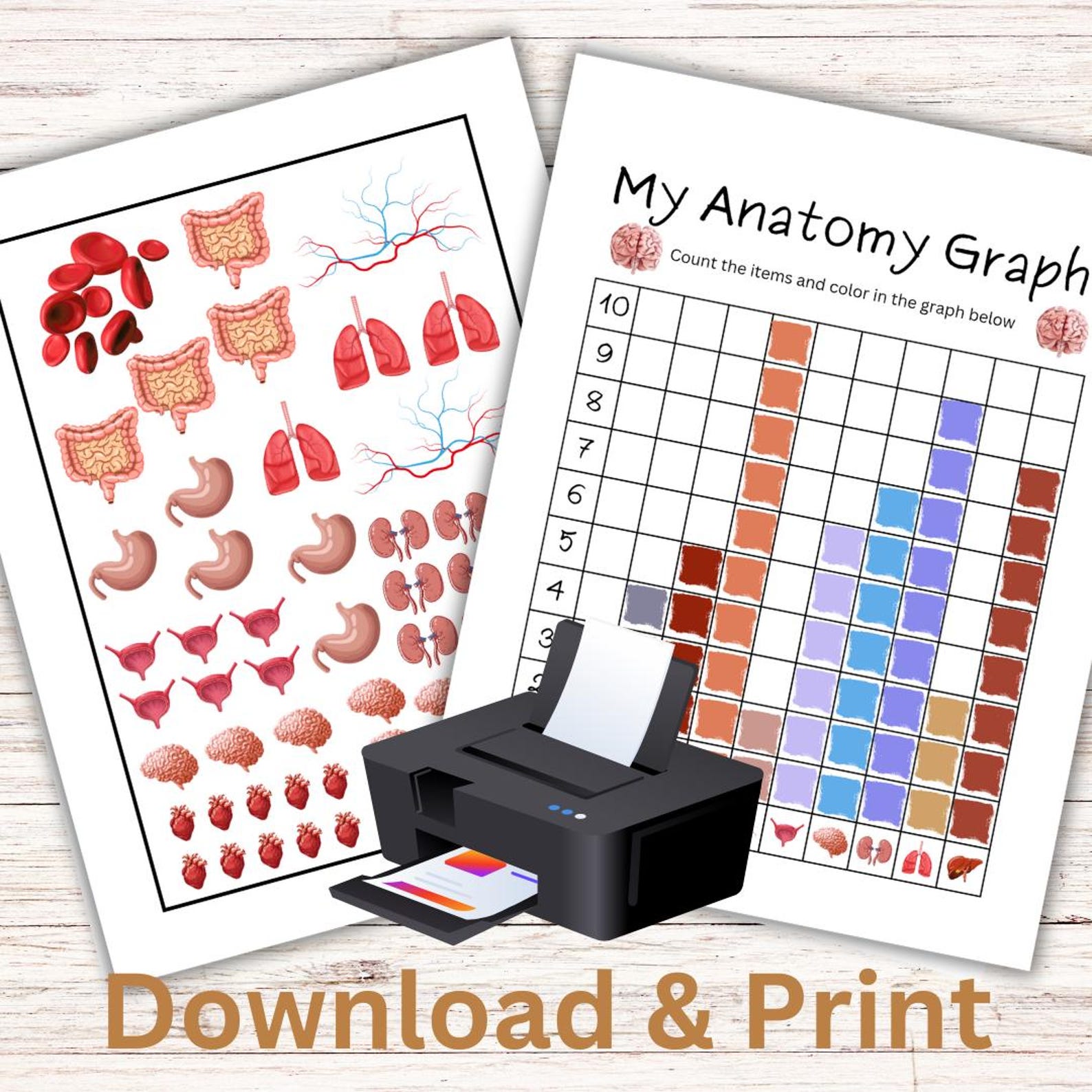 Anatomy Counting Tally Sheets – Kindergarten Math Activity, Preschool ...