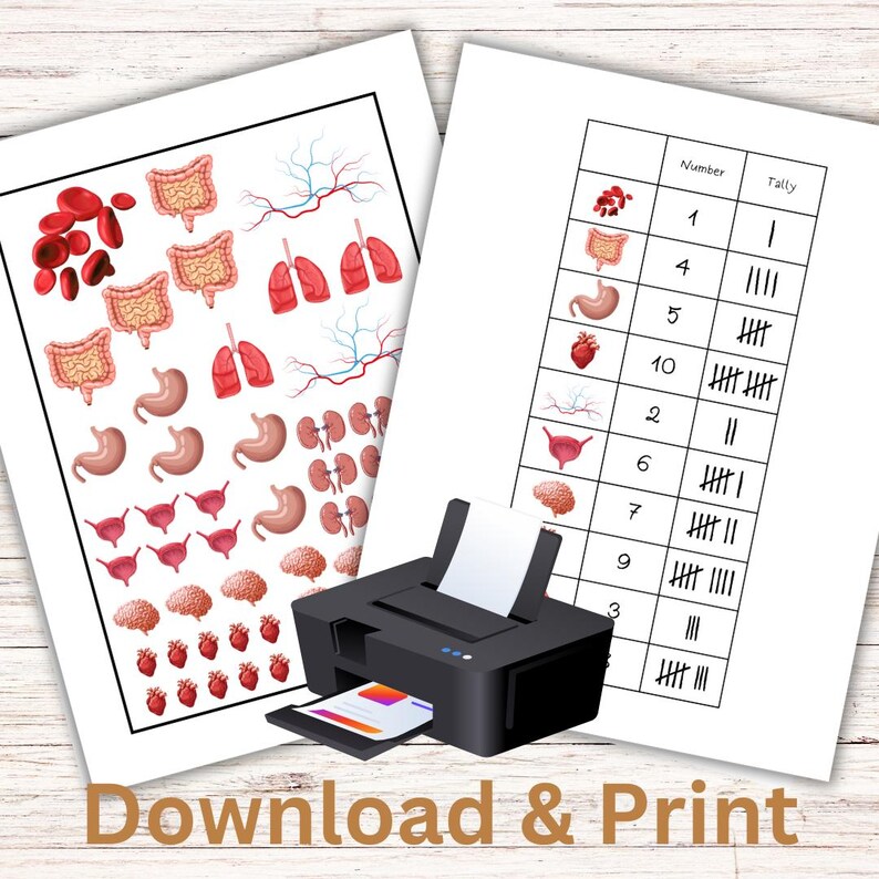 Anatomy Counting Tally Sheets – Kindergarten Math Activity, Preschool ...