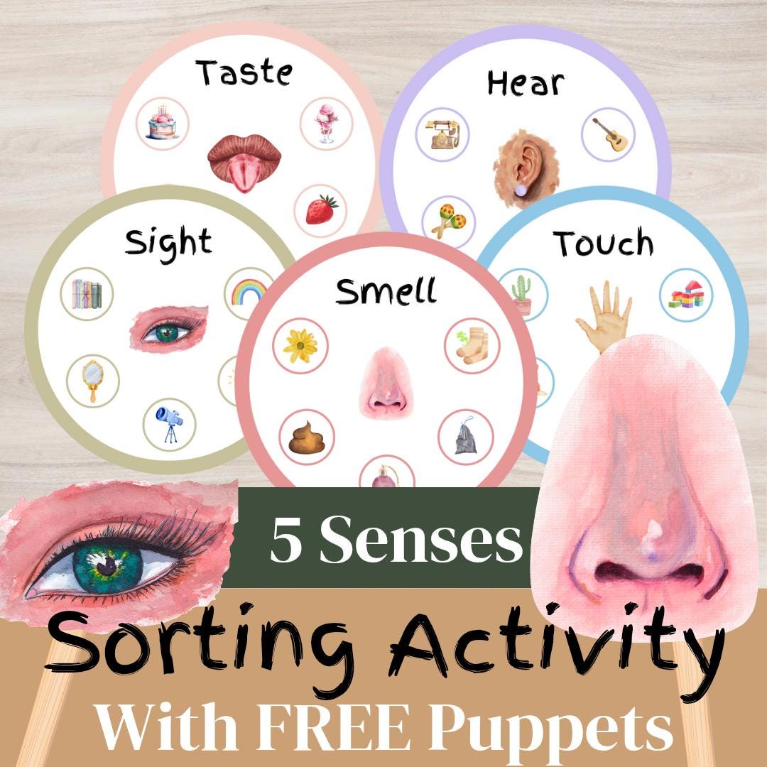 5 Senses Matching Activity for Kids | Fun & Educational Digital ...