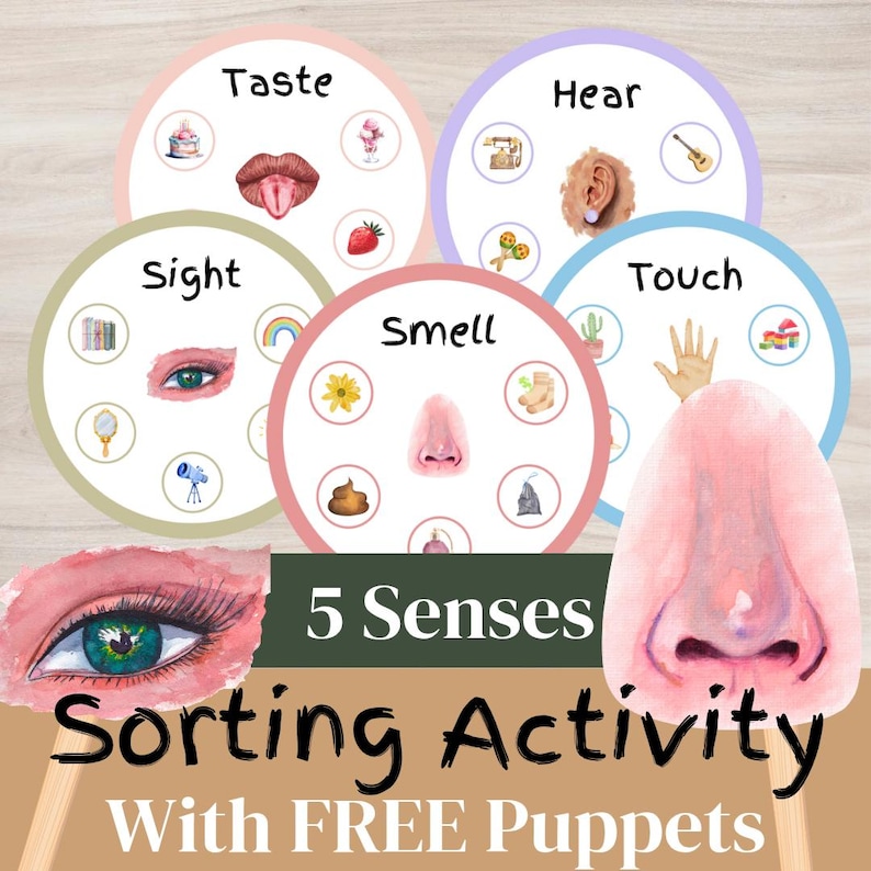 5 Senses Matching Activity for Kids | Fun & Educational Digital ...
