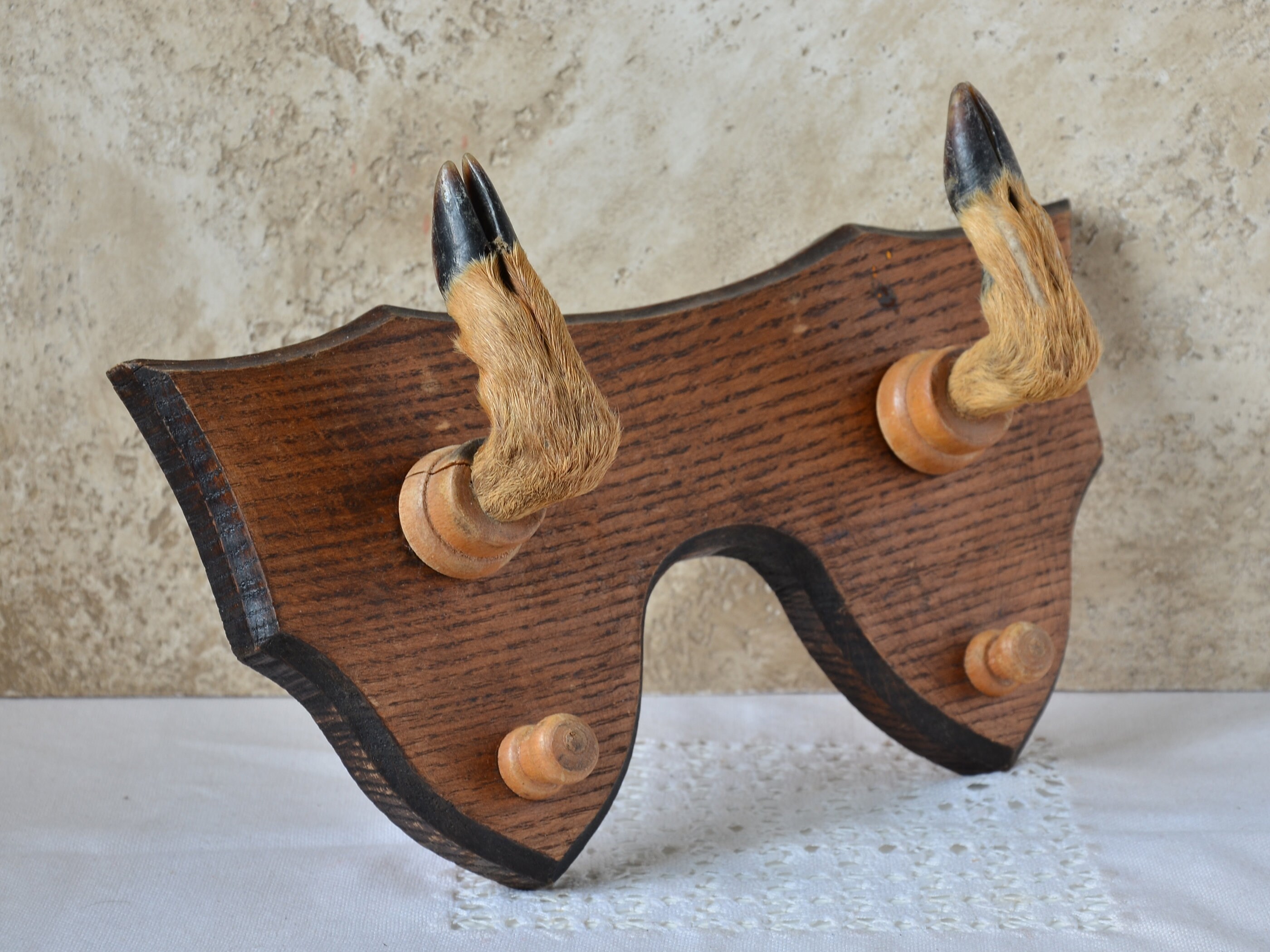 Vintage Taxidermy Pair of Deer Hooves, Doe Legs Hunting Trophy Wooden ...