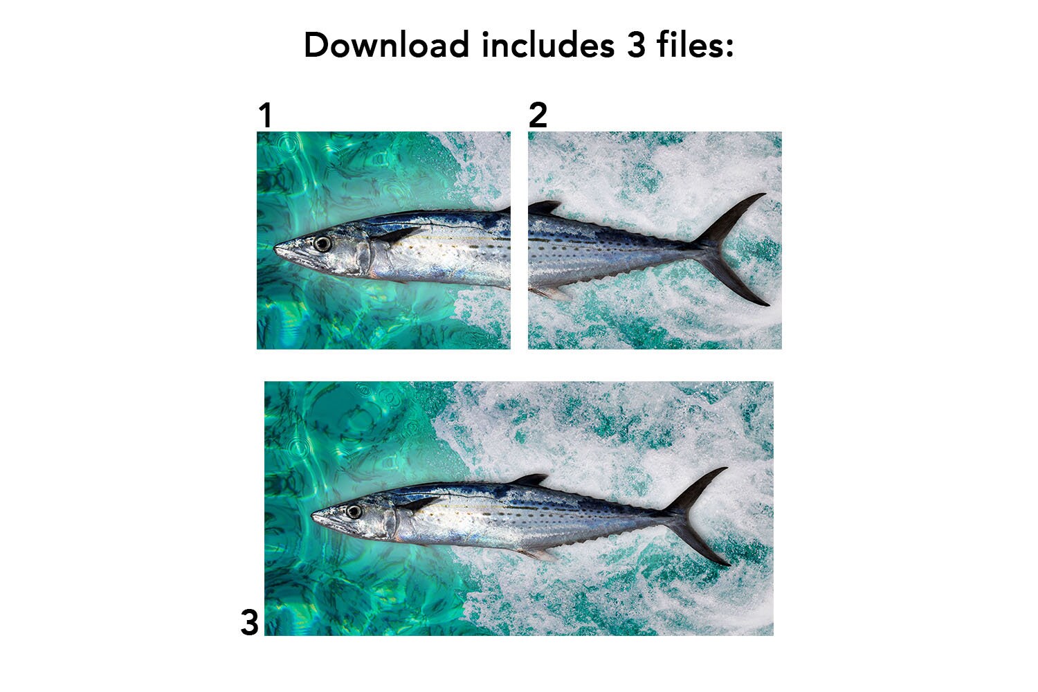 Printable Digital Photos of Mackerel (ONE Piece & TWO Piece Wall-art ...