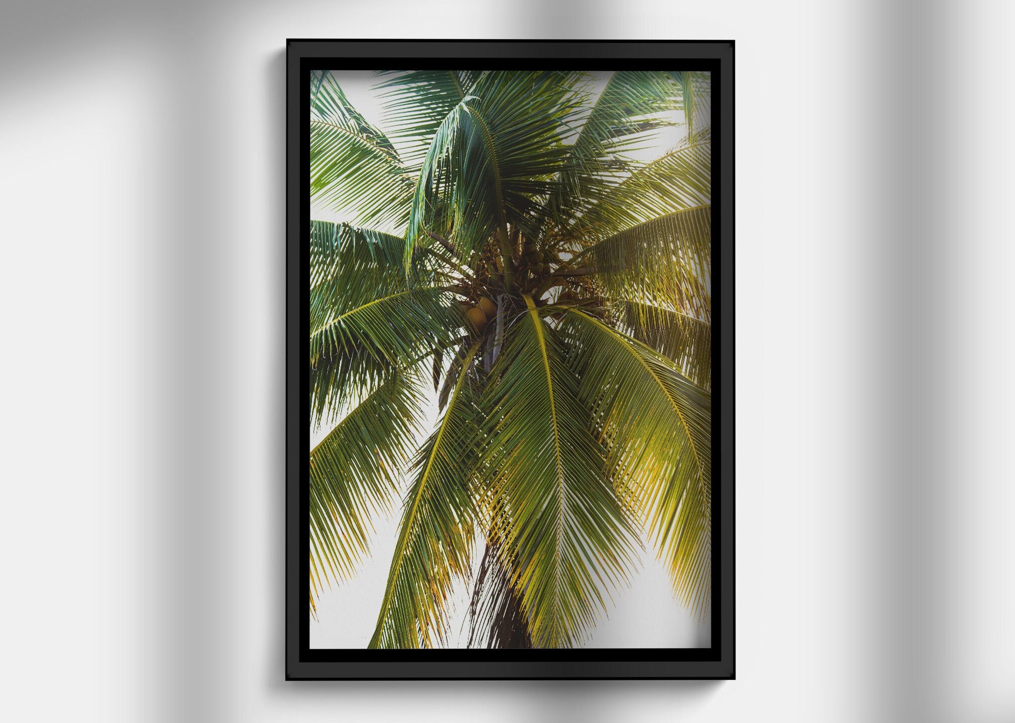 Printable Digital Photo of Coconut Tree - Etsy