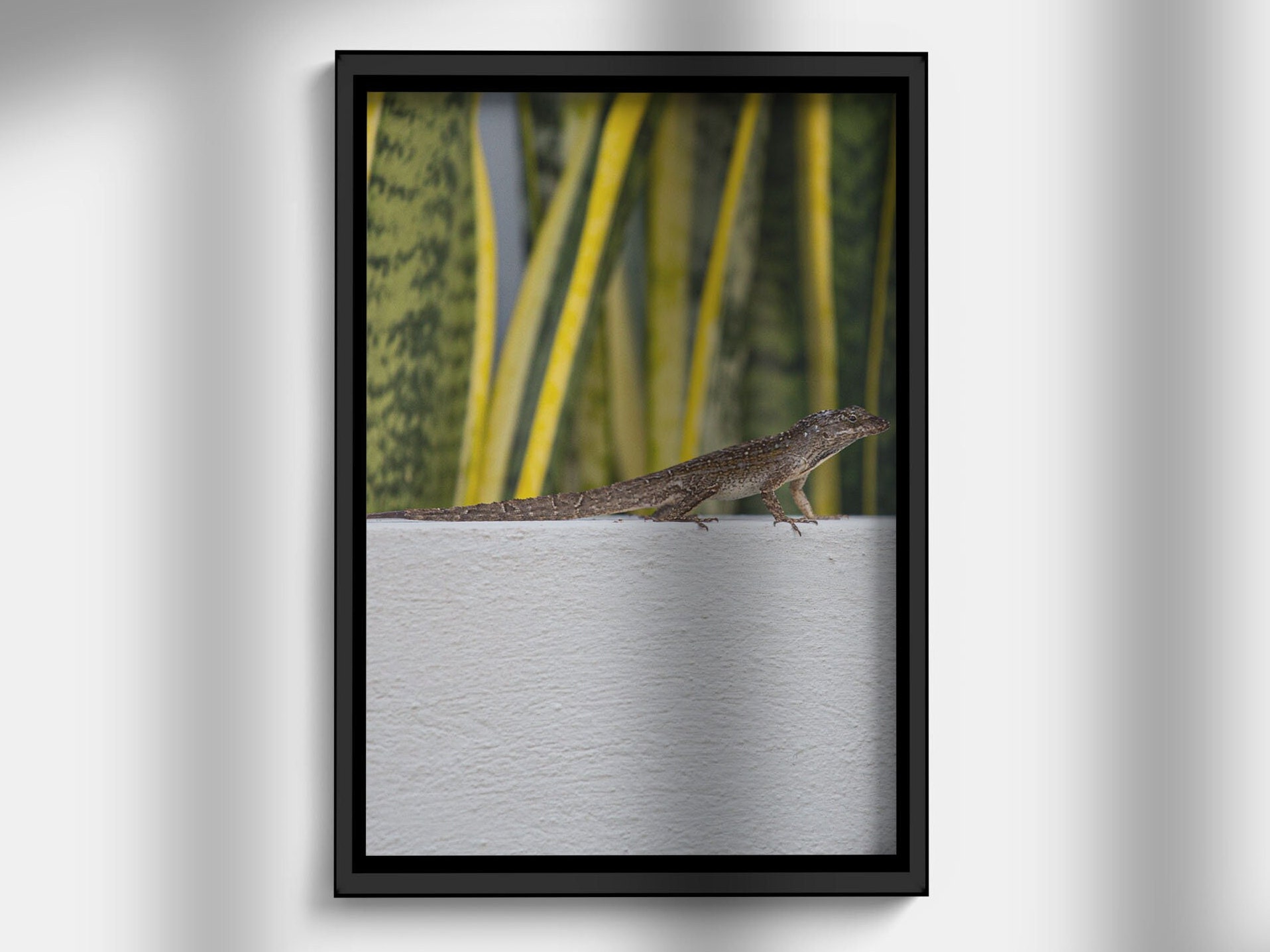 Printable Digital Photo of Tropical Lizard - Etsy