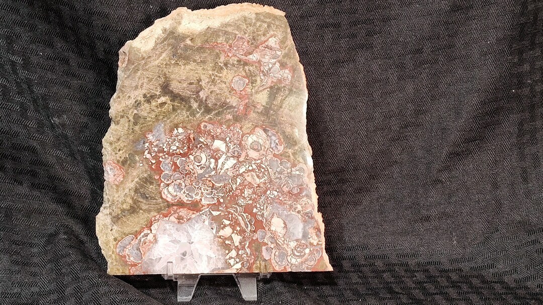 Arizona Mushroom Jasper Polished Display Slab - Etsy