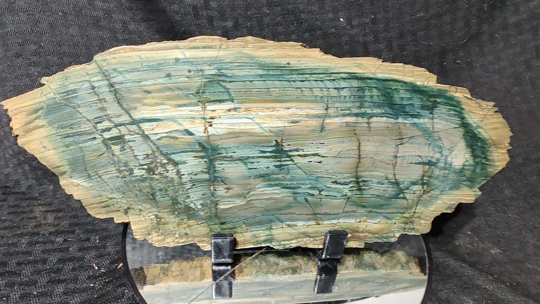 Hampton Butte Oregon Large, Petrified Wood Polished Slab - Etsy