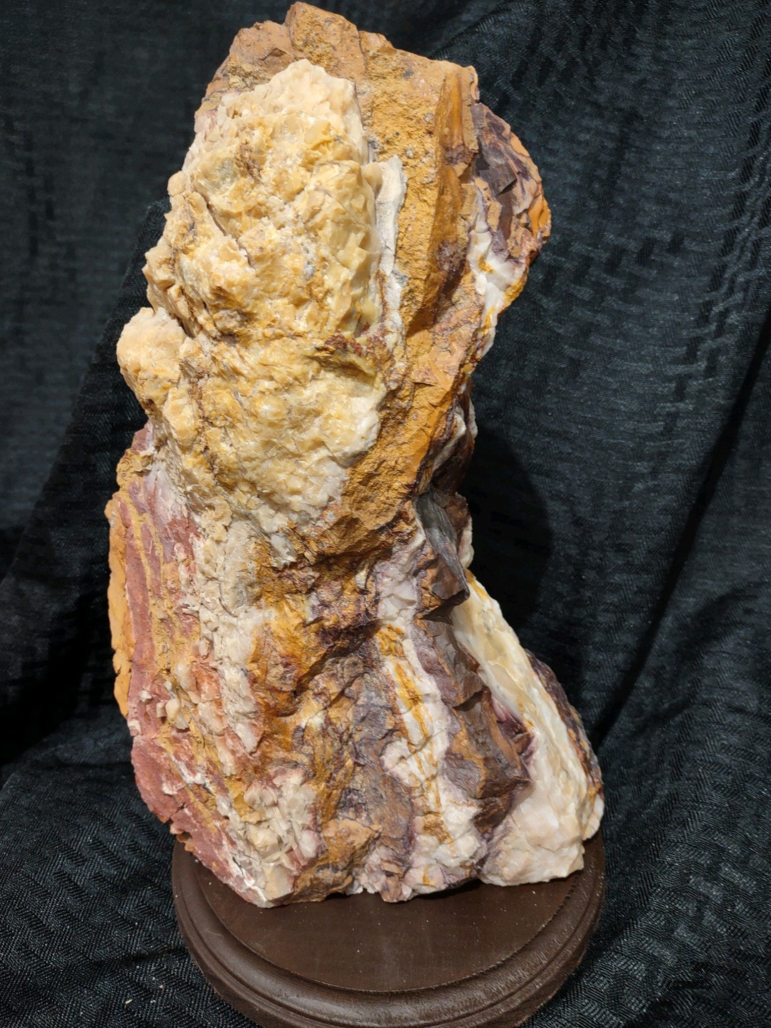 Arizona Petrified Wood Display (large) - Etsy