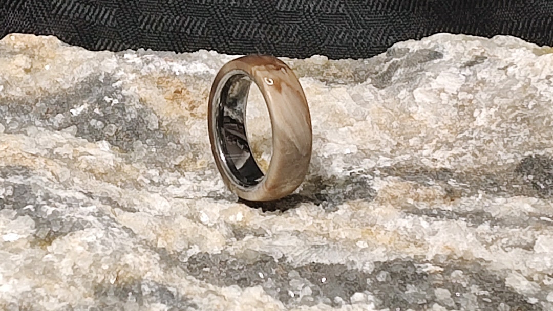 Petrified Wood Ring With Tungsten Core, Size 13 - Etsy