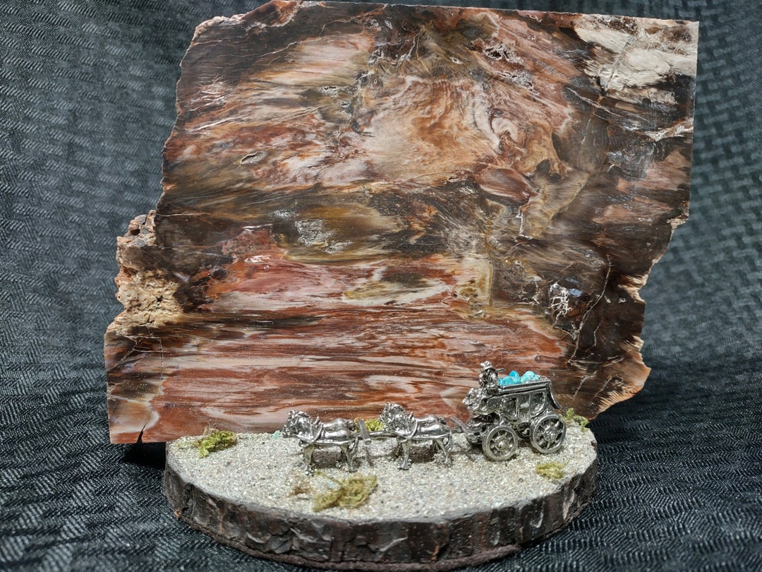 Polished Petrified Wood Slab: Nevada Mineral Display With Pewter ...