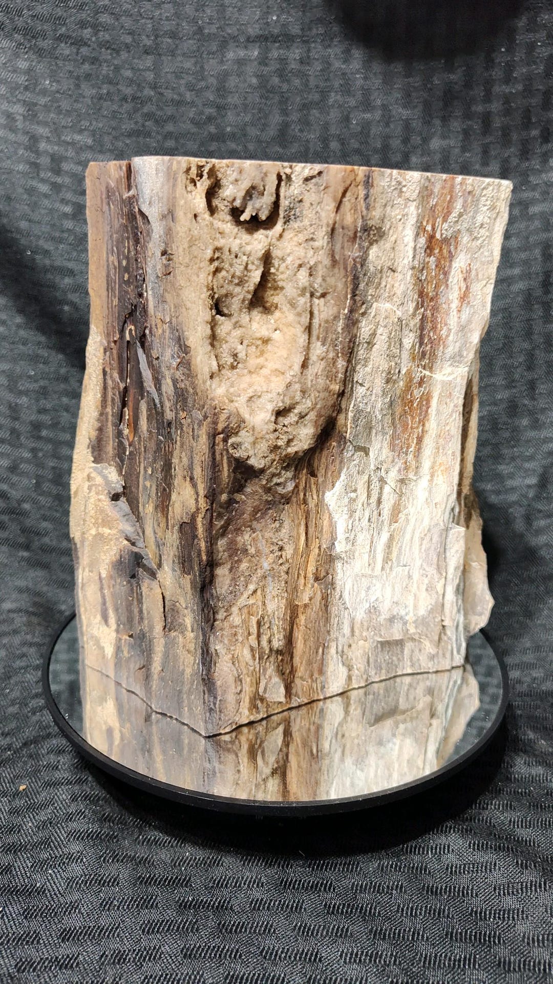 Petrified Wood Polished Log From Mcdermitt Oregon - Etsy