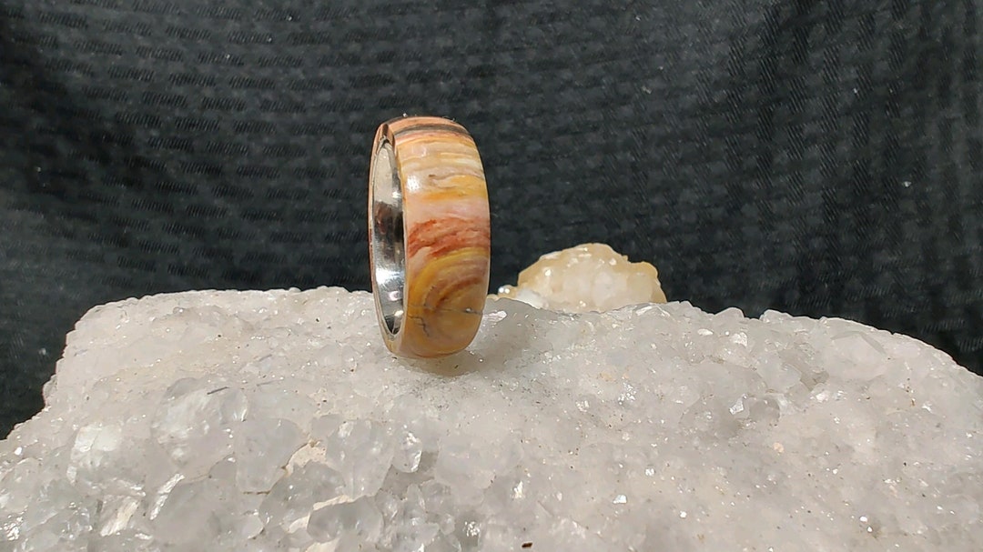 Caldera Paint Jasper From Mcdermitt Nevada Mounted on a Silver Titanium ...