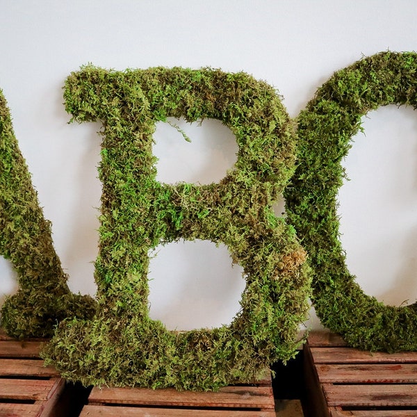 Moss Letters - Etsy