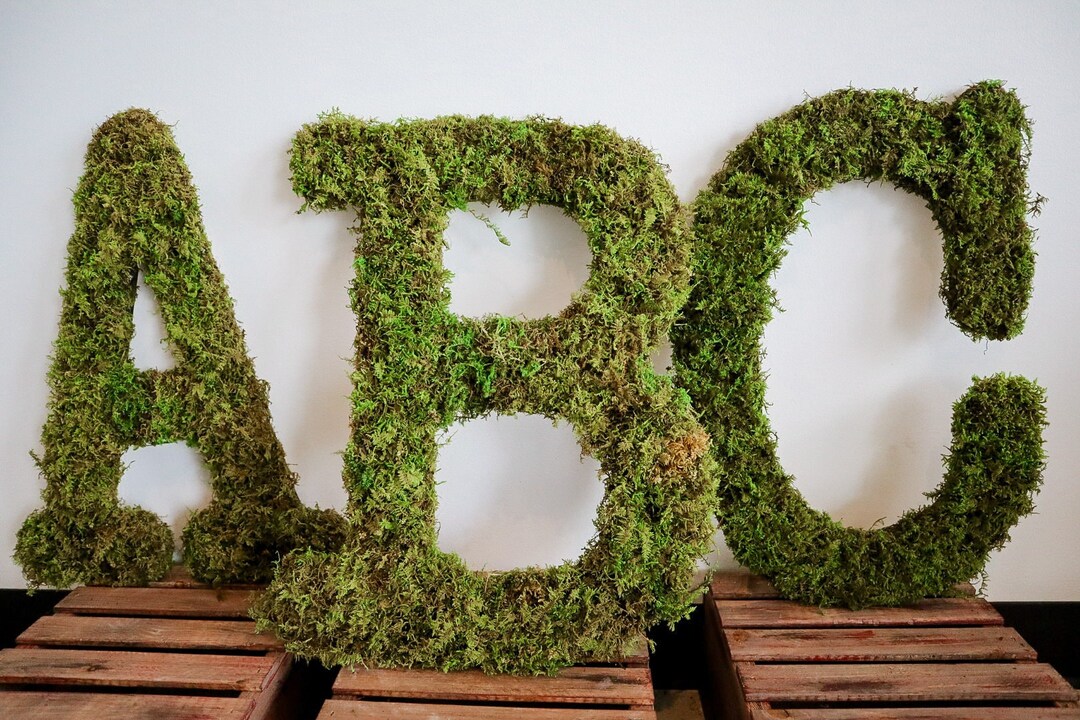 Custom Moss Letters - Etsy