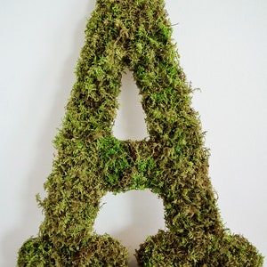Custom Moss Letters - Etsy