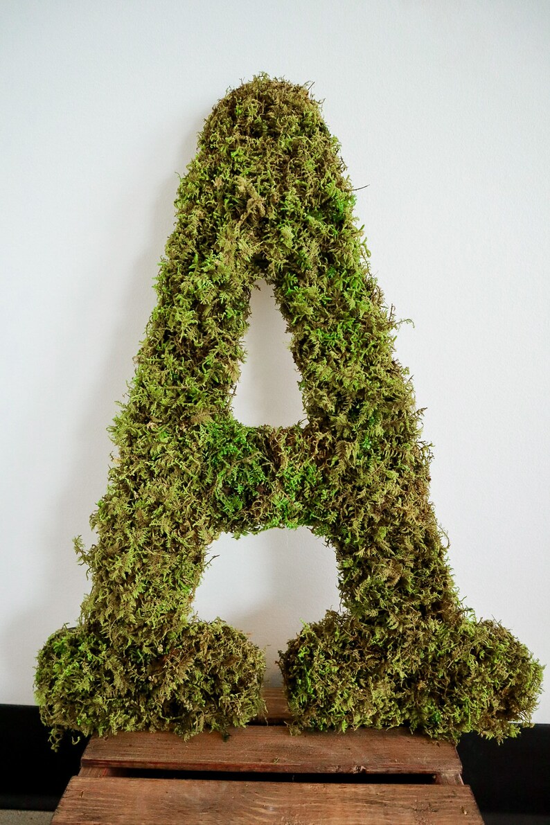 Custom Moss Letters - Etsy