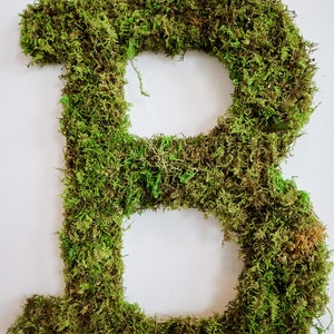 Custom Moss Letters - Etsy