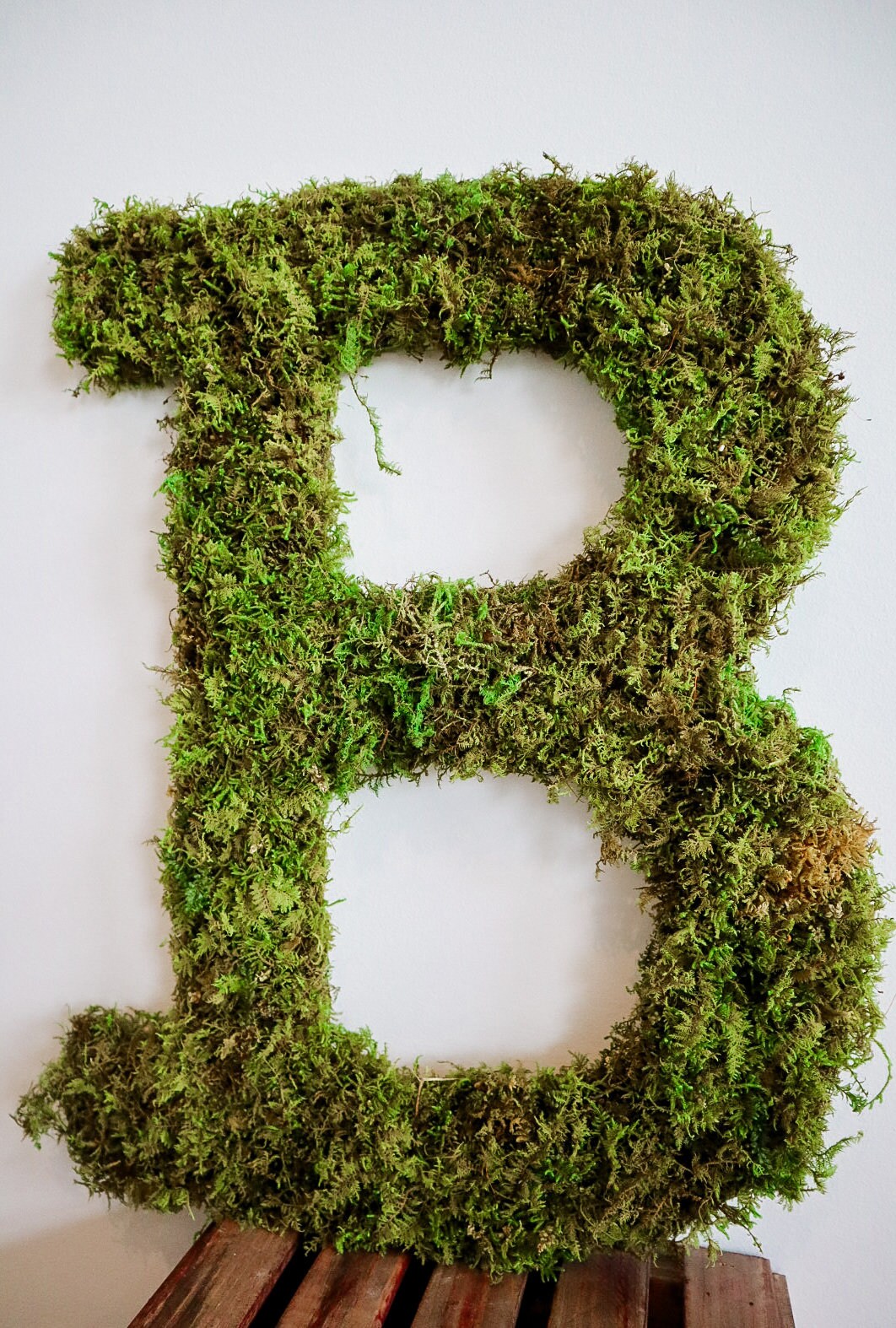 Custom Moss Letters - Etsy