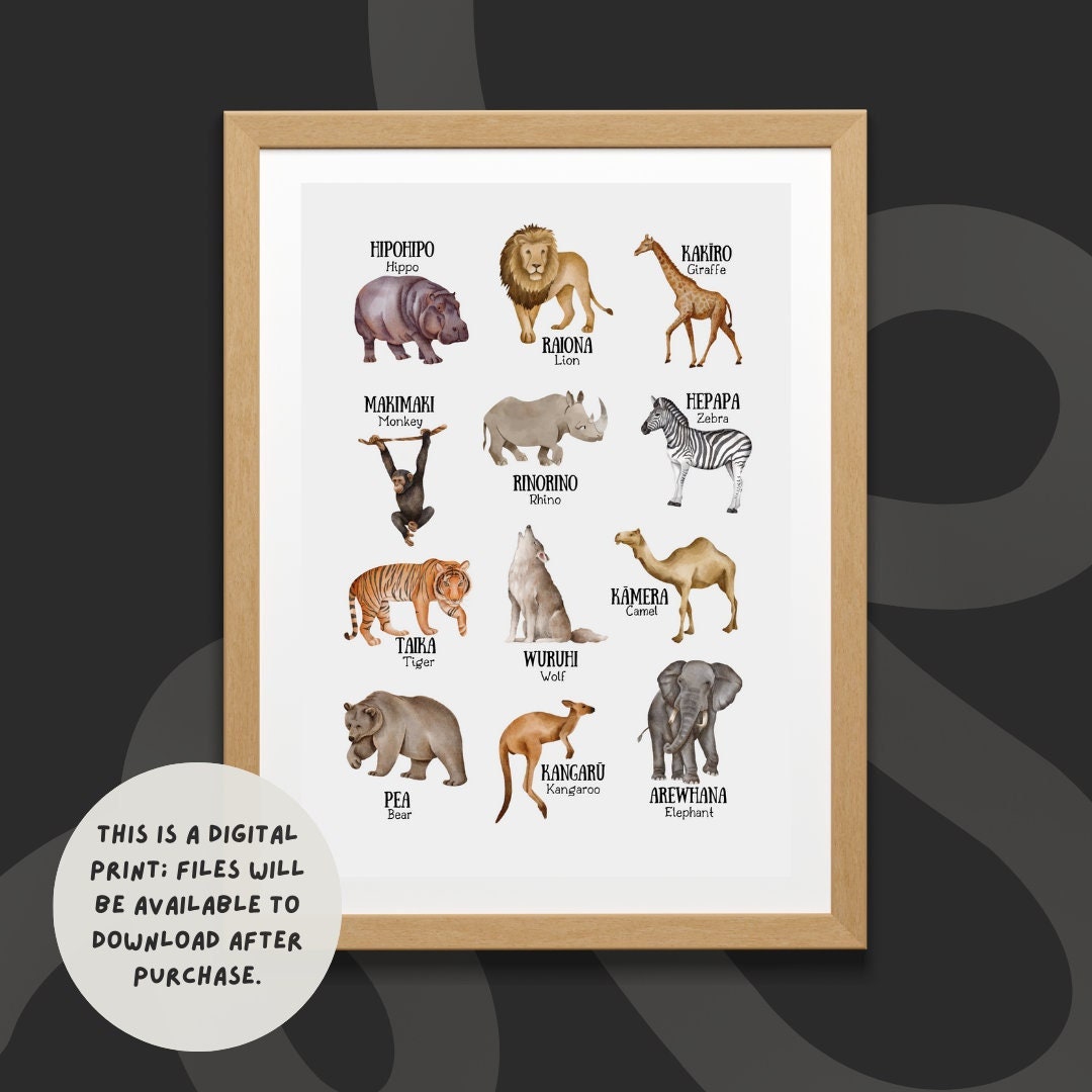 Te Reo Māori & English Learning Poster for Kids Jungle Animals - Etsy