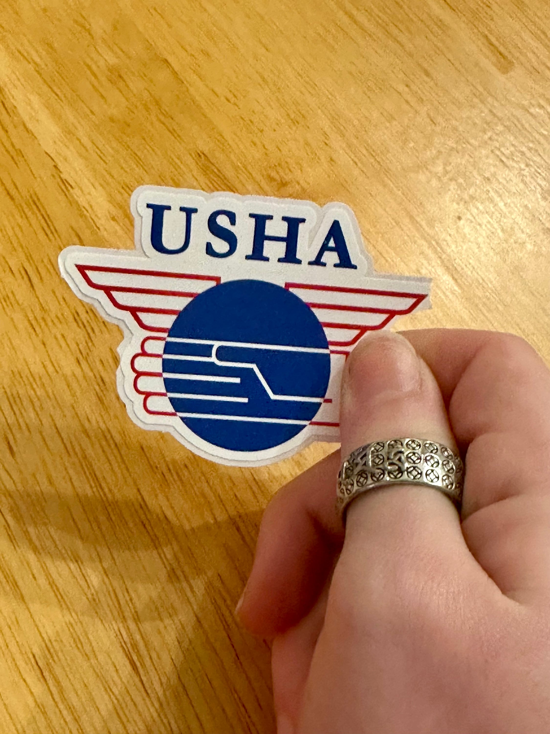 Usha Handball Logo Handball ALL Tees