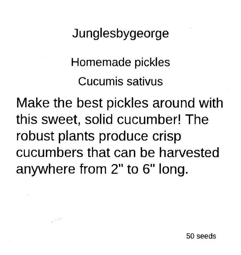 Homemade Pickles Cucumber Heirloom, Open Pollinated, Non-gmo Seeds - Etsy