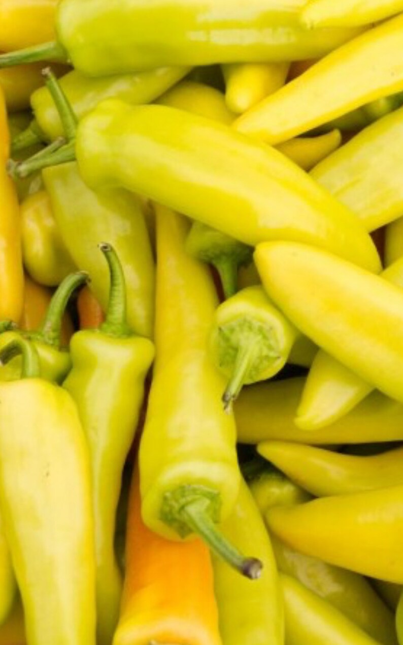 Hungarian Wax Hot Pepper Heirloom, Open Pollinated, Non-gmo Seeds - Etsy