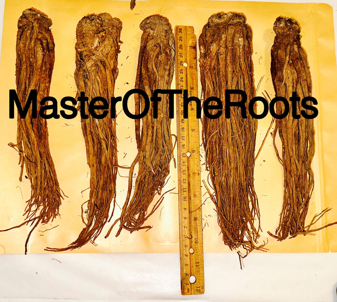 Whole Master Root -(masterroots) Spirituality/ Curio / Hoodoo/ Wiccan ...