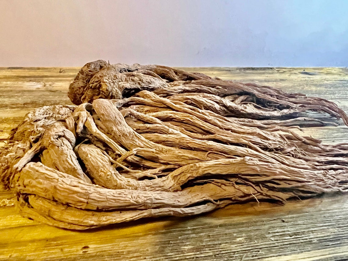 Whole Master Root masterroots Spirituality/ Curio / Hoodoo/ - Etsy