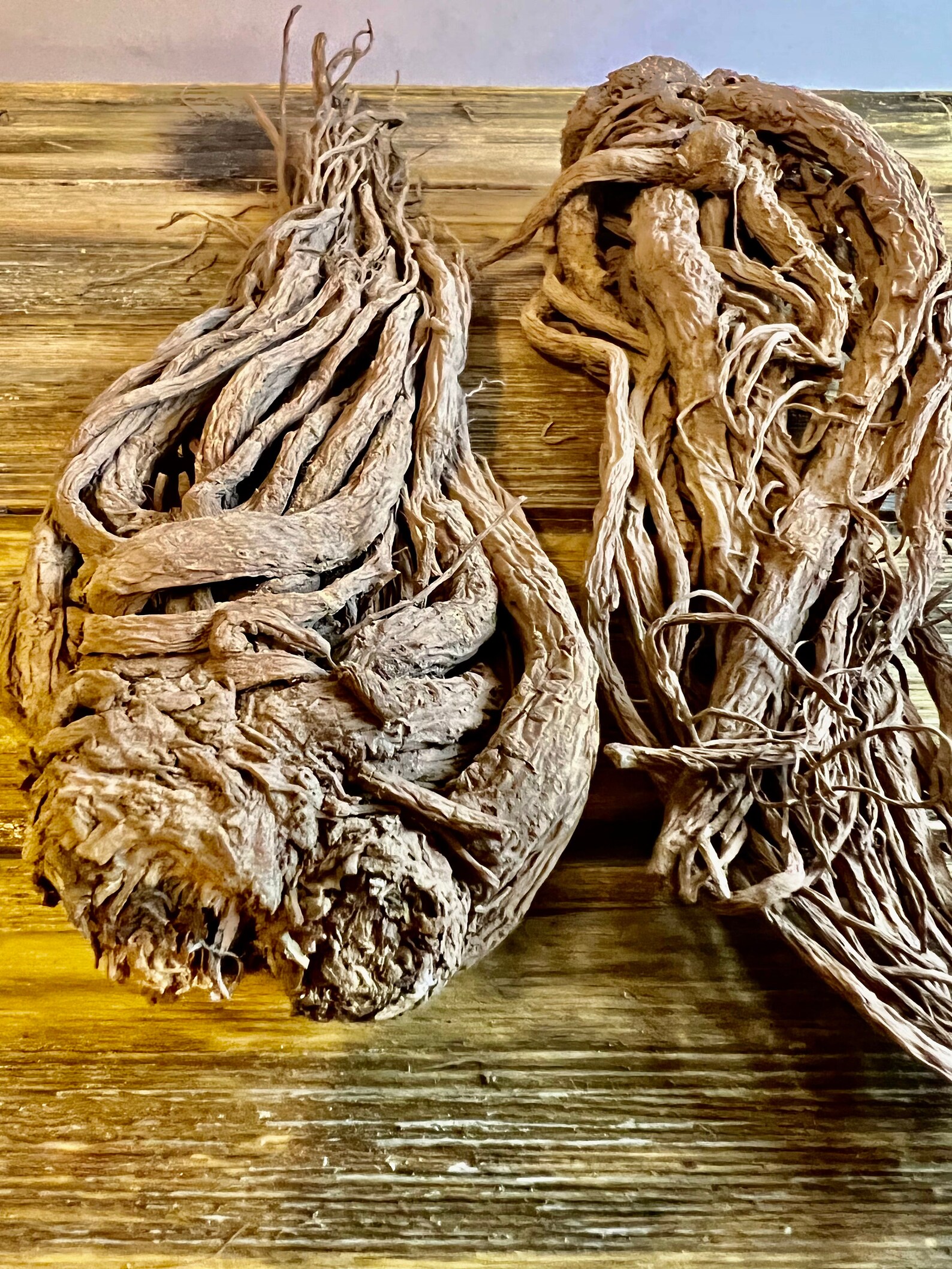 Whole Master Root masterroots Spirituality/ Curio / Hoodoo/ - Etsy
