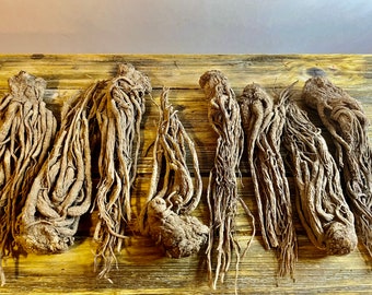 Master Root A Hoodoo Root That is the Master of Them All - Etsy