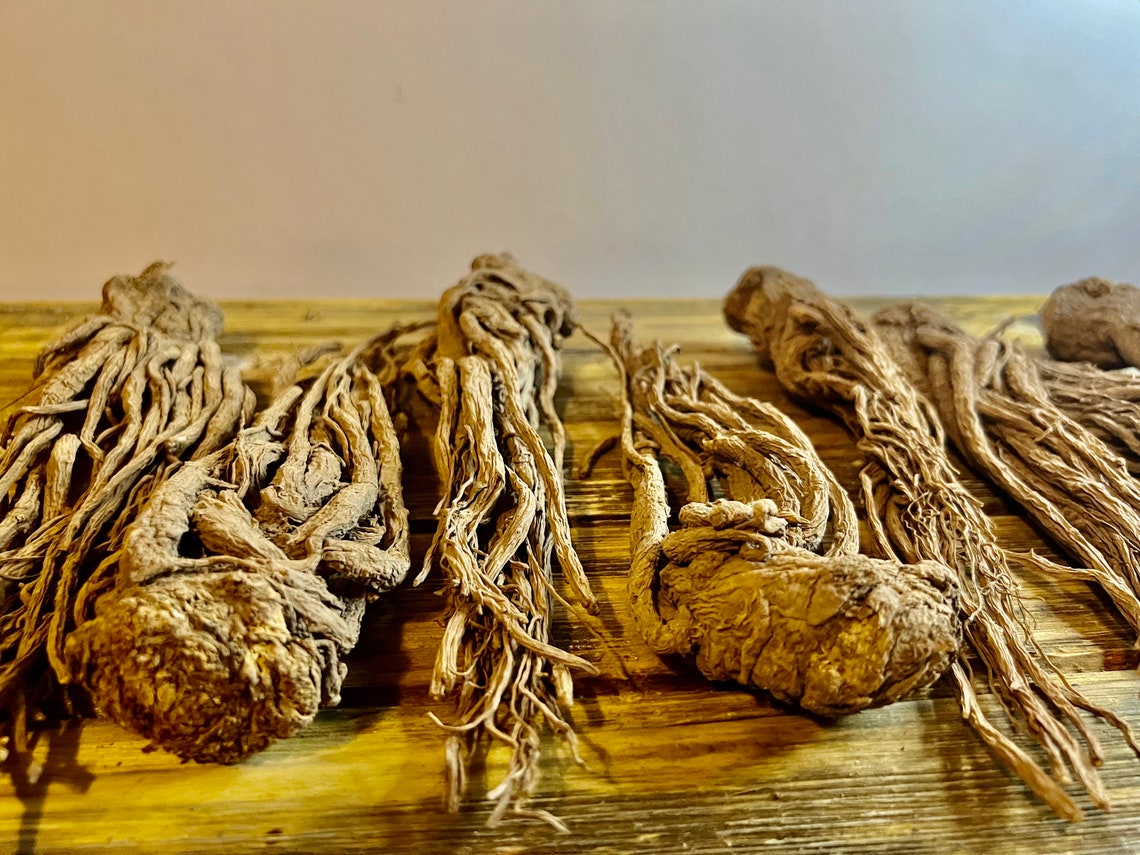 Whole Master Root masterroots Spirituality/ Curio / Hoodoo/ - Etsy UK