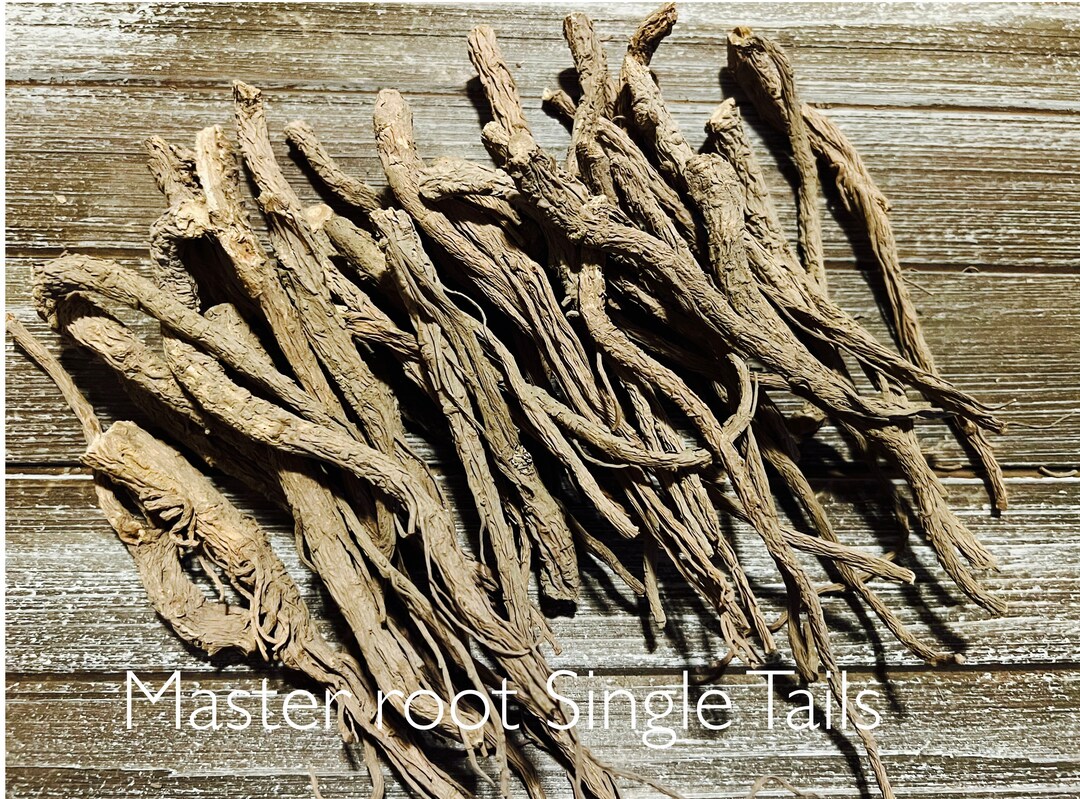 MASTER ROOT- Master Root End Tails Bag -master of All Things Root ...