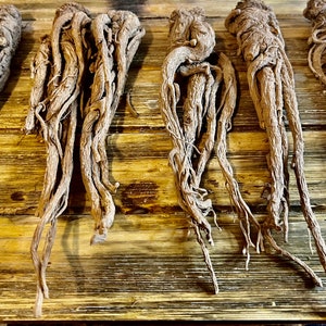 Whole Master Root -(masterroots) Spirituality/ Curios / Hoodoo/ Wiccan ...