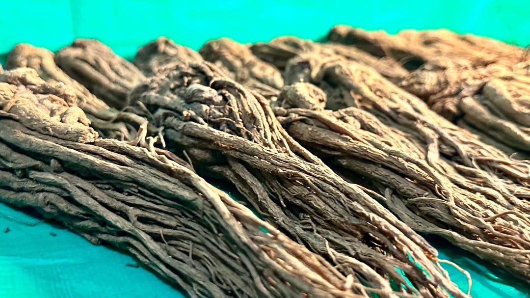 Whole Master Root (masterroots) Spirituality/ Curios / Hoodoo/ Wiccan ...