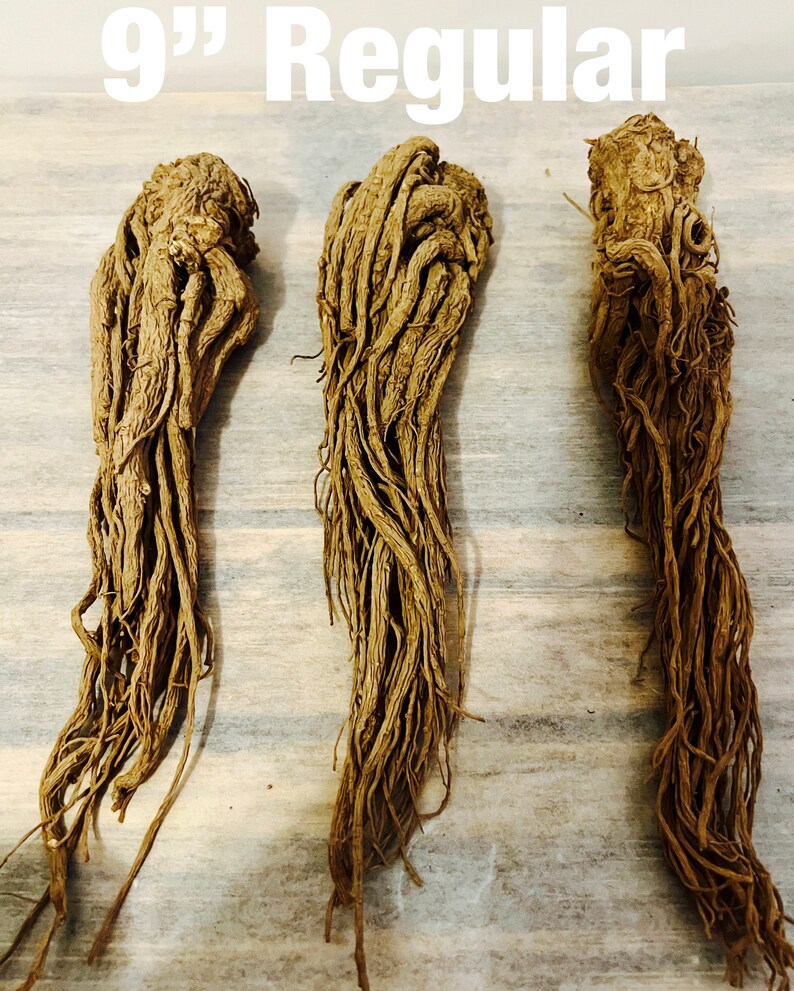 Whole Master Root masterroots Spirituality/ Curio / Hoodoo/ - Etsy