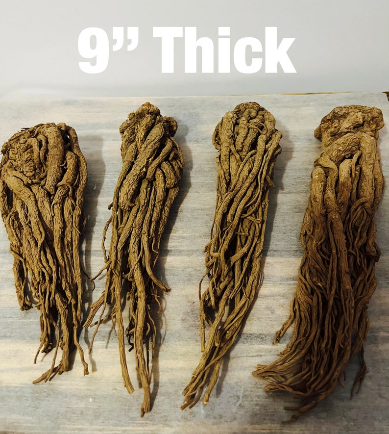 Whole Master Root masterroots Spirituality/ Curio / Hoodoo/ - Etsy