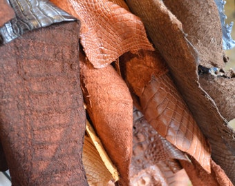 Genuine Wild Caught Alligator Leather Hide - Etsy
