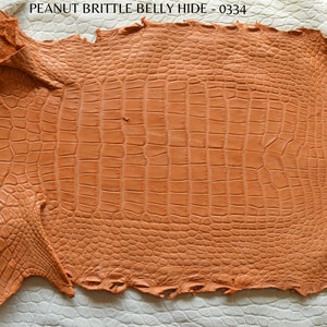 Genuine Wild Caught Alligator Leather Hide - Etsy